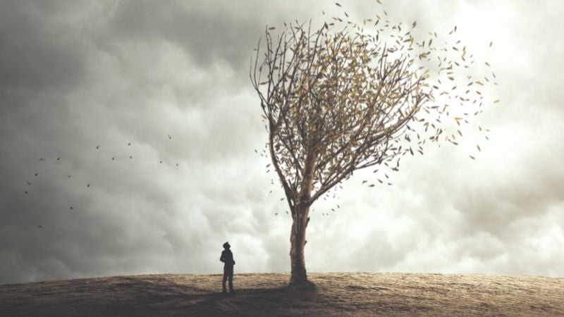 Prayers & Bible Verses For All Seasons of Life