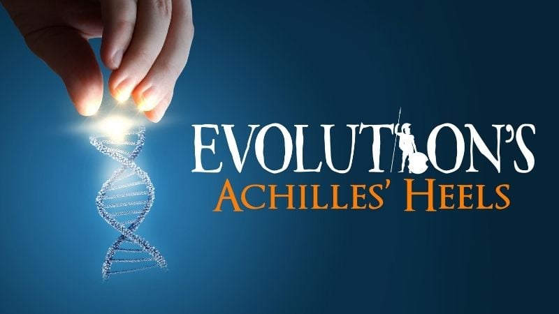 15 Christian Religious Documentaries You Should Watch Now