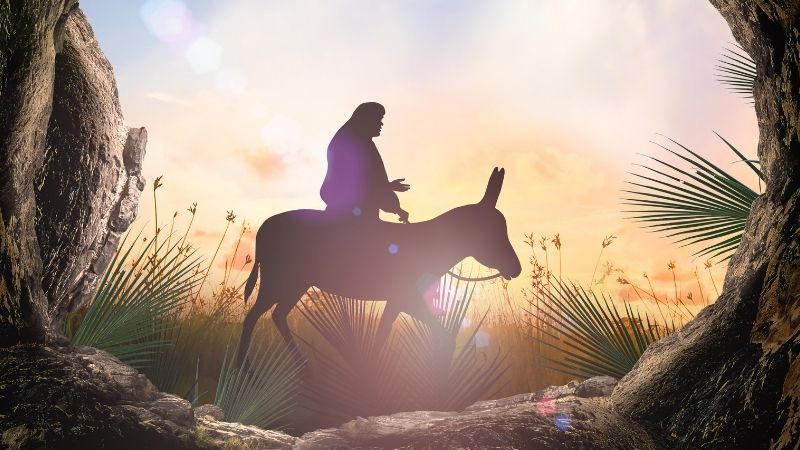 Palm Sunday Scriptures: Inside the Pivotal Biblical Story